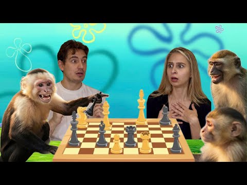 KİM DAHA ZEKİ? 😱 | SEVGİLİMLE ZEKA TESTİ : IQ SAVAŞLARI 🧠 (CEZALI)