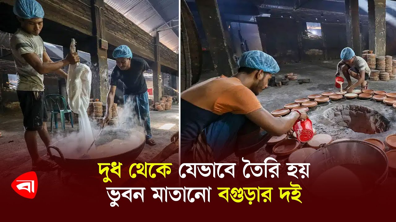 দুধ থেকে যেভাবে তৈরি হয় ভুবন মাতানো বগুড়ার দই | Bogra Doi | BOGRA ...