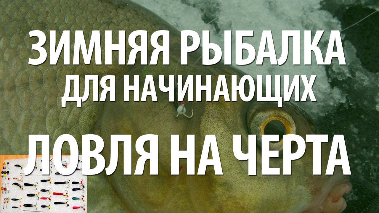 МОРМЫШКА ЧЕРТИК - РЫБАЛКА для НАЧИНАЮЩИХ ЗИМОЙ - YouTube