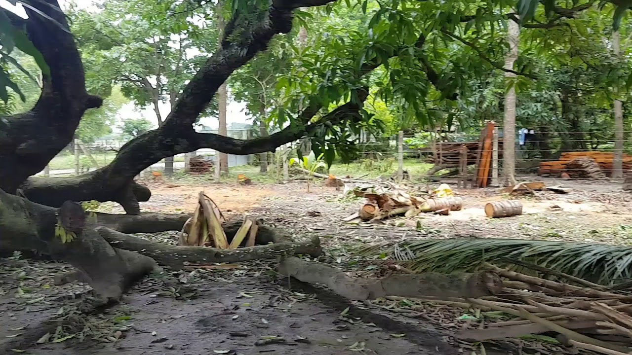 Lot For Sale in Inaon Pulilan Bulacan 1,108 sqm - YouTube