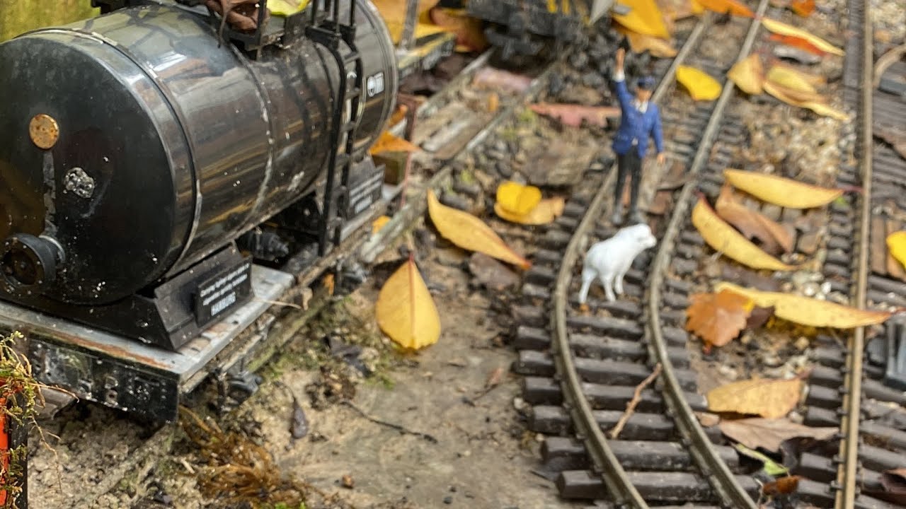 Track of Lamb - YouTube