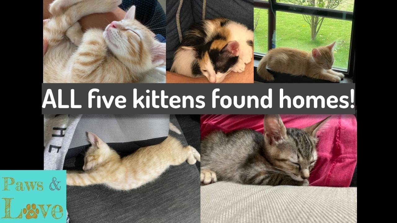 These Five Siblings in Their NEW Homes - YouTube