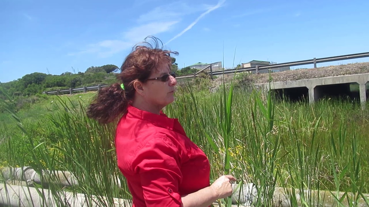 Klein Brak River problems - YouTube