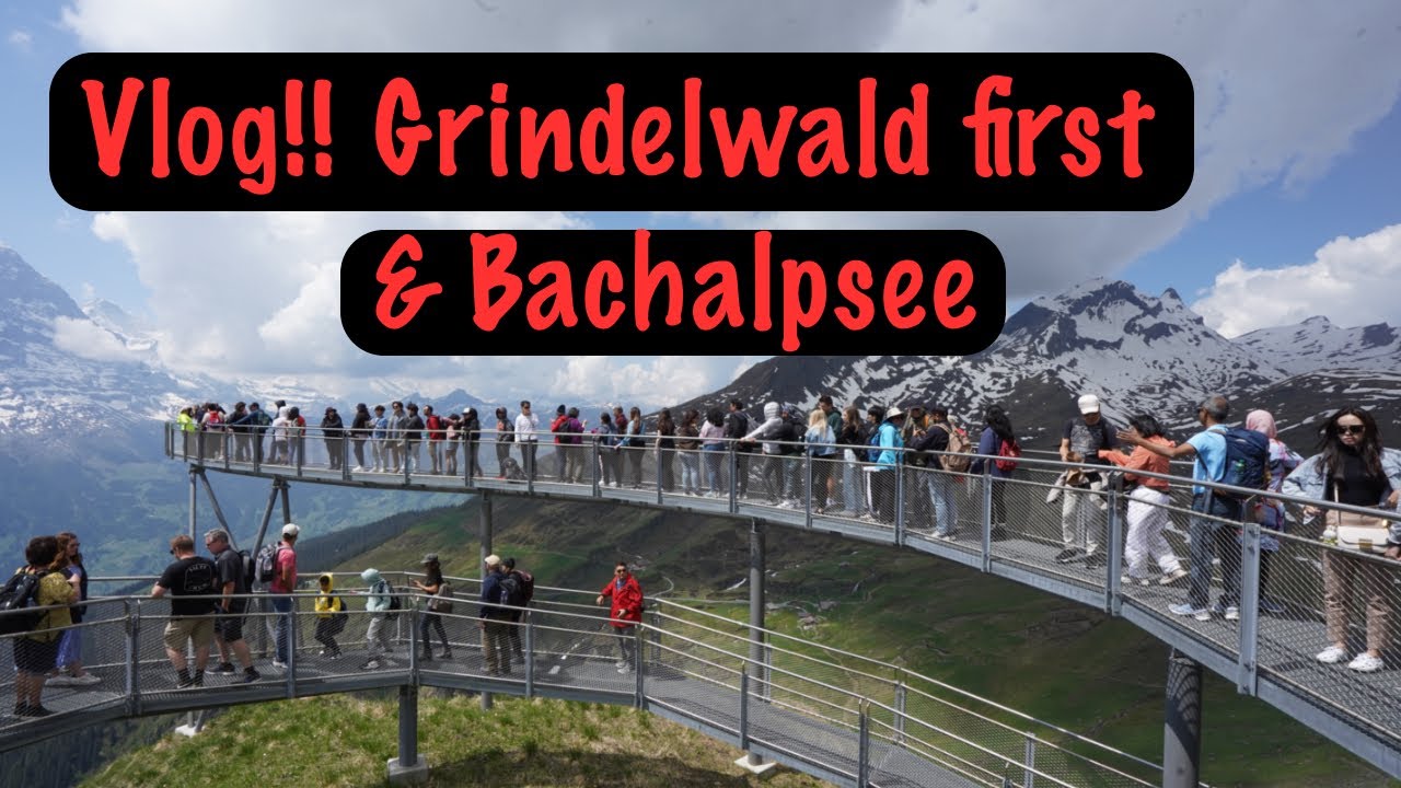 Grindelwald First's Breathtaking Panorama / First-Class Views ...