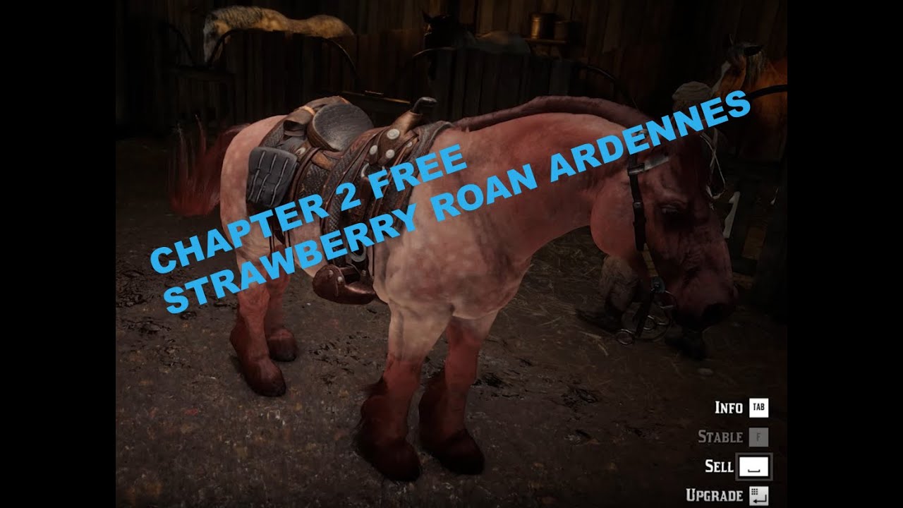 RDR2 Free Early Strawberry Roan Ardennes in Chapter 2 from Drunk Wagon ...