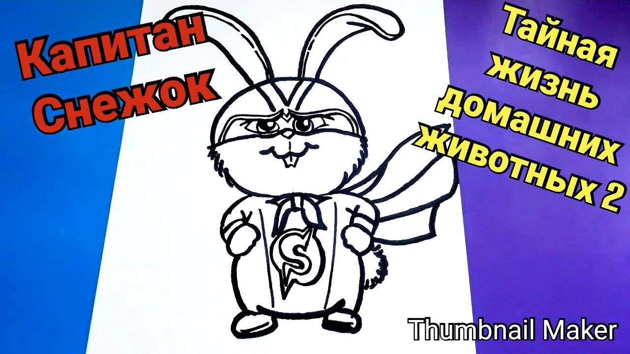 Как нарисовать КАПИТАНА СНЕЖКА из мультфильма Тайная жизнь домашних
