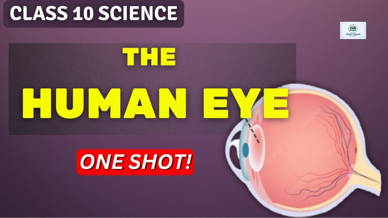 Human Eye Class 10 Science | Best Explanation | Bright Board Academy ...