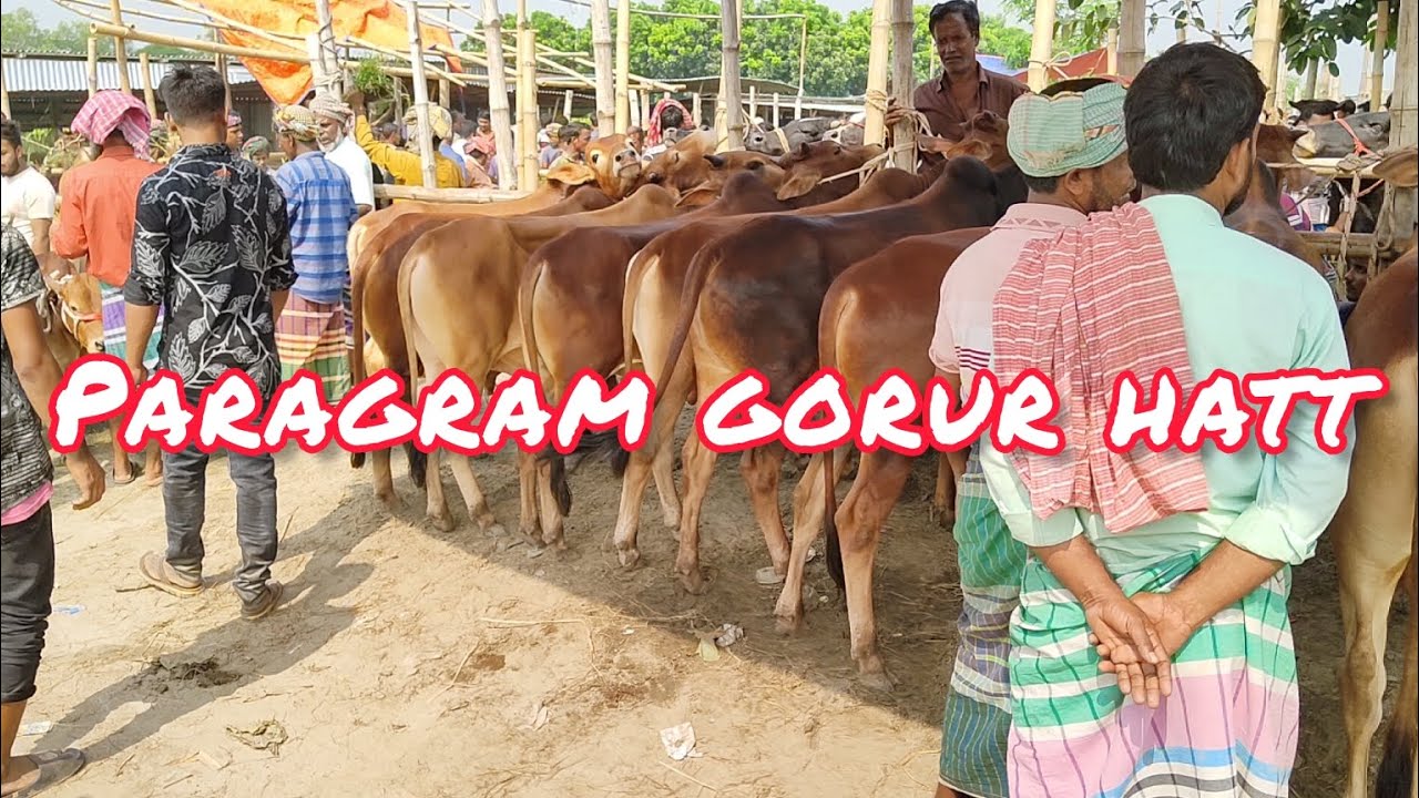 Paragram Gorur Hatt 2022 | Hazratpur Paragram Gorur Hatt | Unloading ...