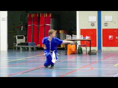 Shaolin Kung Fu - Wu Bu Quan
