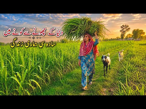 Real Punjab Village Life | Tandoori Roti, Village Cooking, Desi Lifestyle, Tube Well & Green Fields 