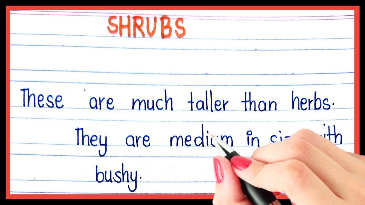 What are shrubs | Definition of shrubs | Types of shrubs | Benefits of ...