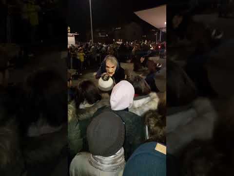 Yaratiklar sehri basti