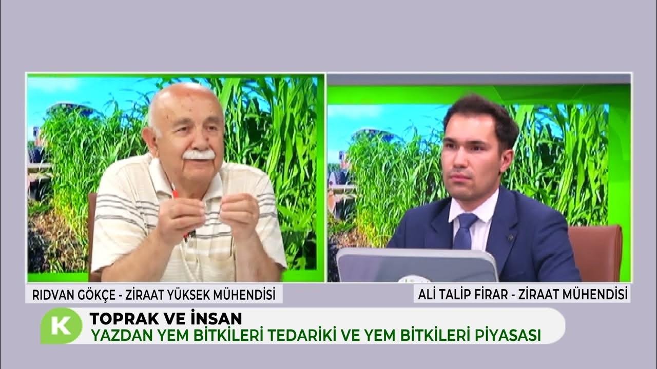 YAZDAN YEM BİTKİLERİ TEDARİKİ VE YEM BİTKİLERİ PİYASASI | TOPRAK VE İNSAN - YouTube