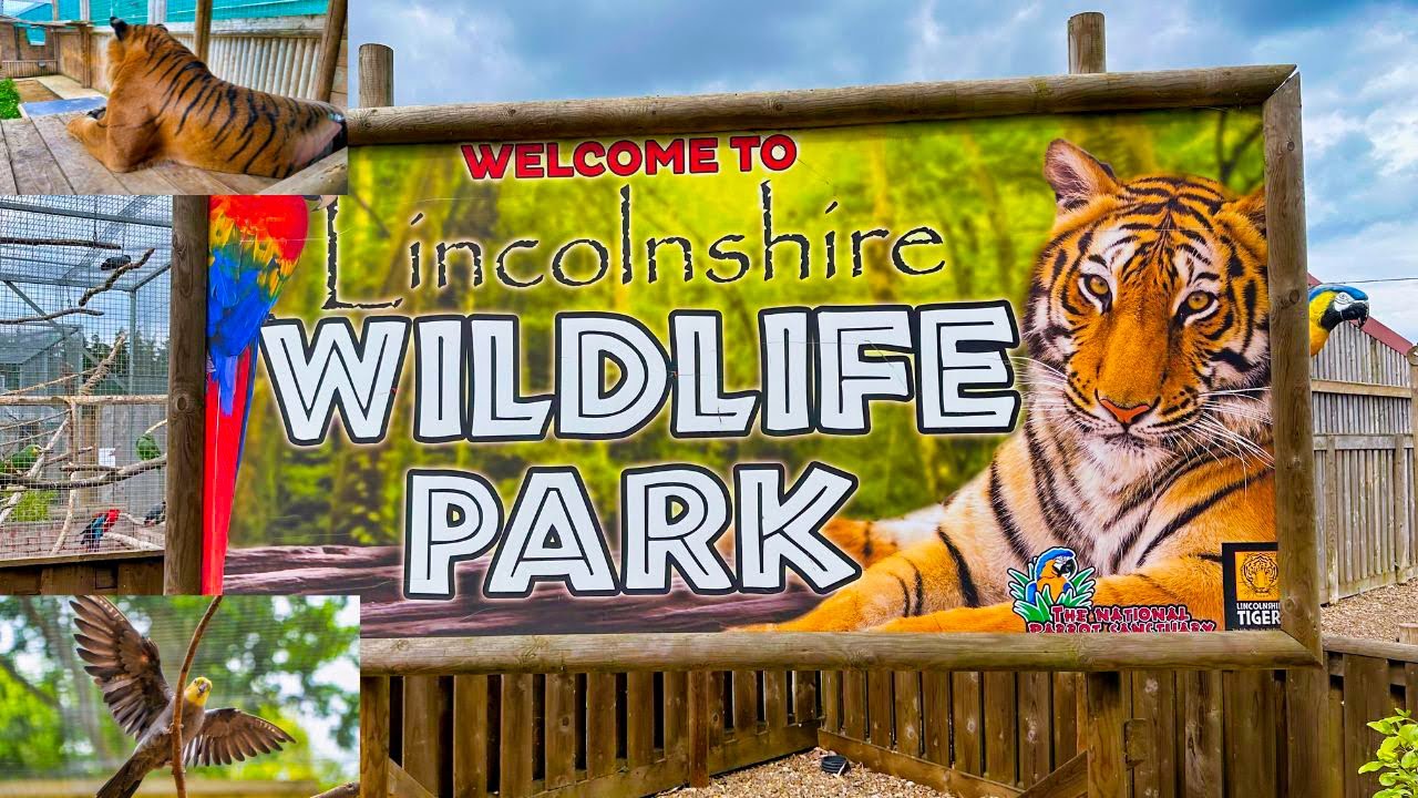 Lincolnshire Wildlife Park - Complete With 1000+ Noisy Parrots! - YouTube