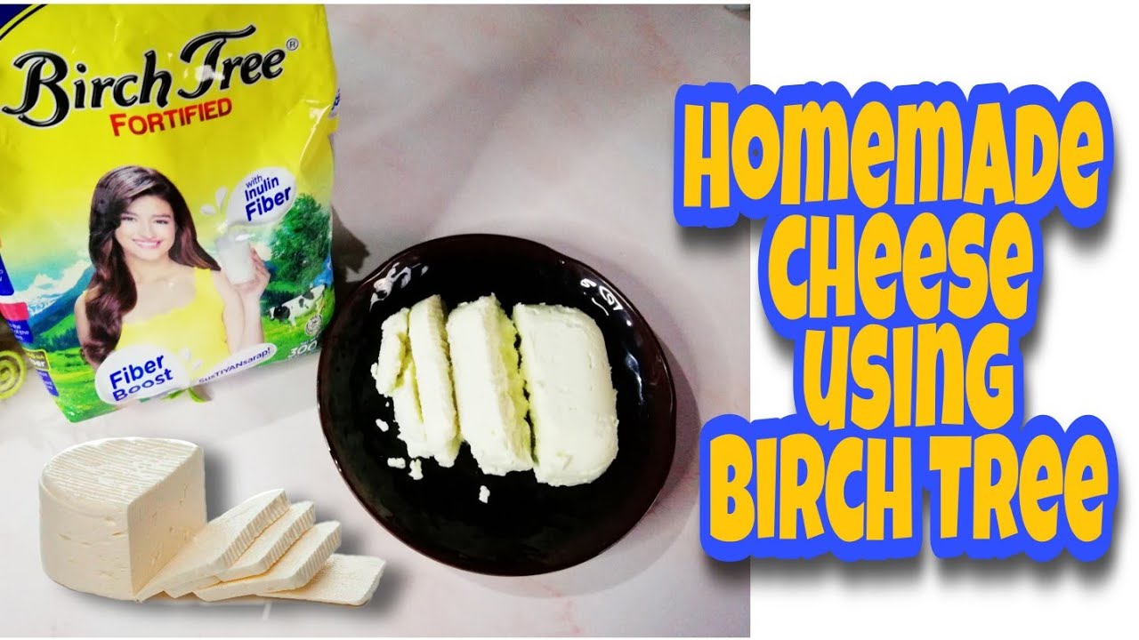 Homemade cheese using Birch Tree - YouTube