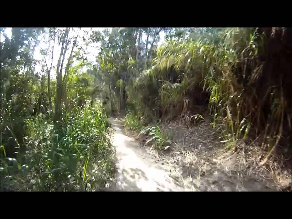 Broward County Parks' OBX Adaptive Mountain Bike Trail at Markham Park ...
