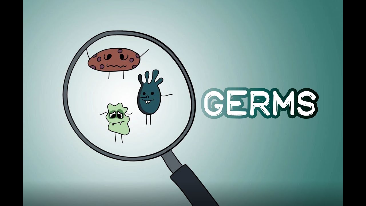 Germs | Animated? - YouTube