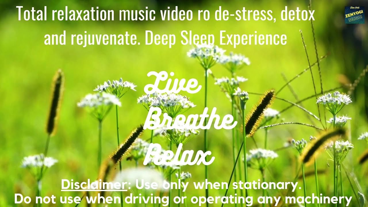 Total relaxation music video rode-stress, detox and rejuvenate. Deep ...