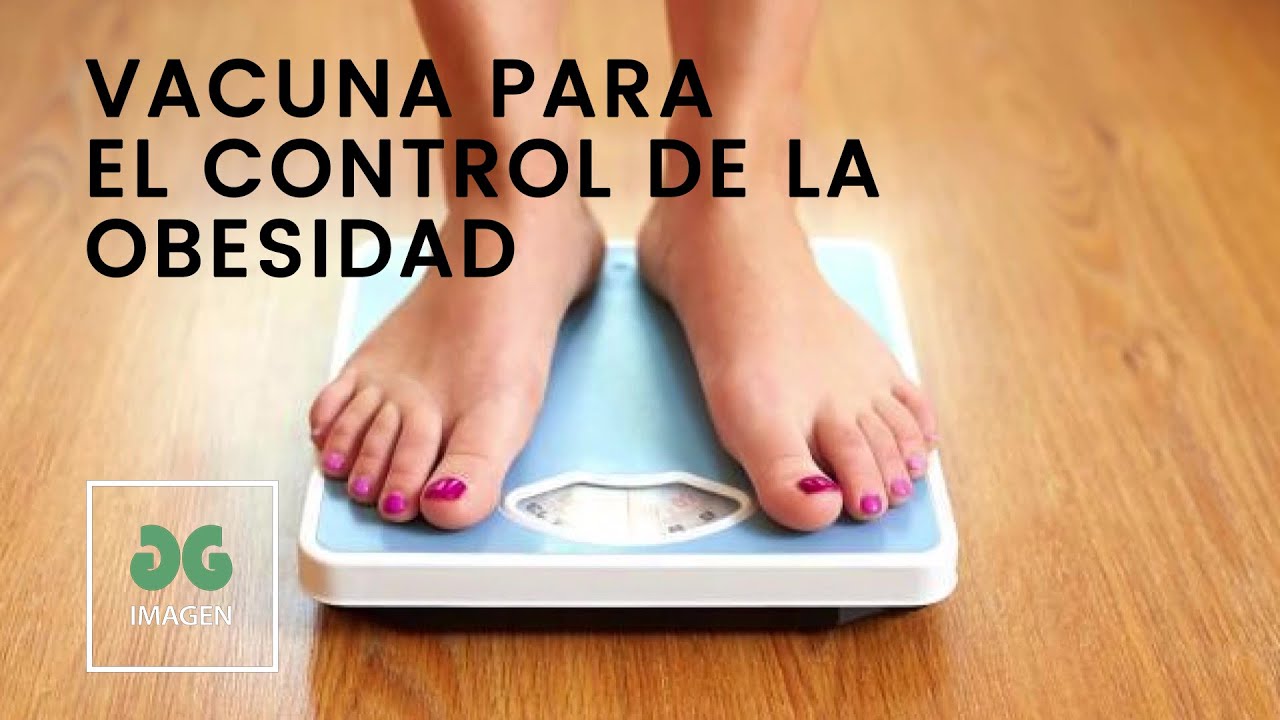 Vacuna para el control de la obesidad - YouTube