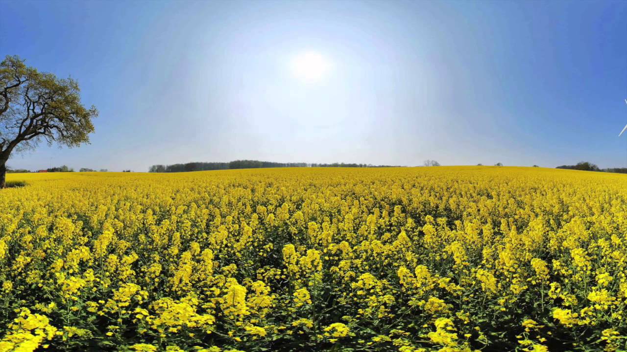 K.Barron-R.Mitchell-The Red Barron Duo - YouTube