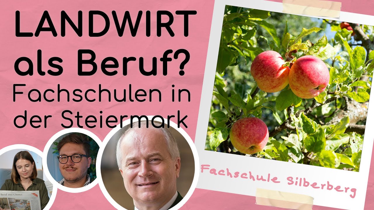 Apfelernte in der Fachschule Silberberg in Leibnitz - #27 POLITISCH ...
