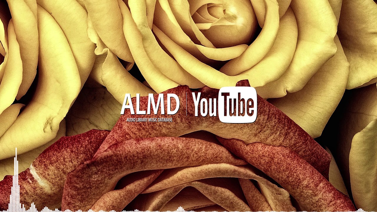 Rondo Brothers – Yellow Gold [Vlog No Copyright Music] - YouTube