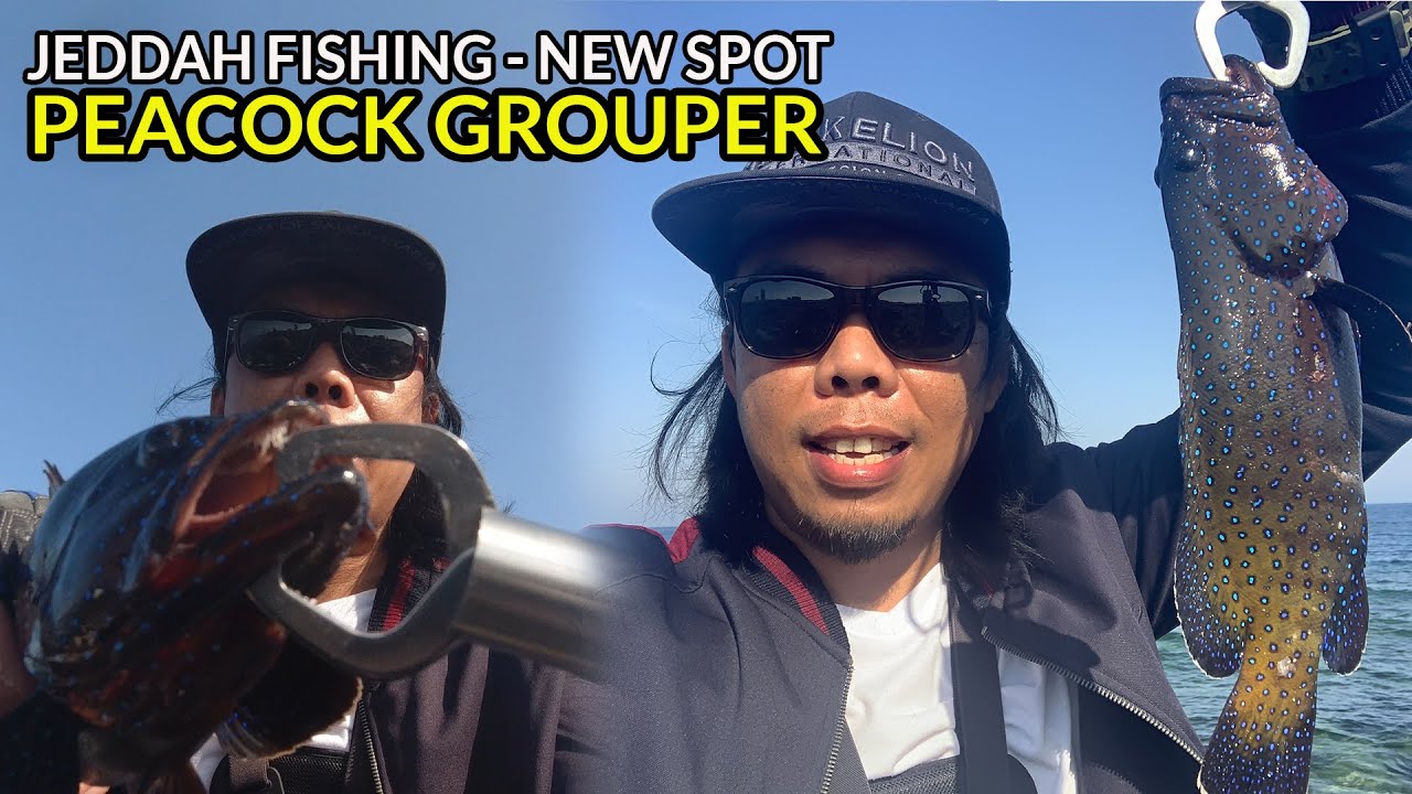 EP10 - Fishing in Jeddah KSA : NEW LEGAL SPOT | Peacock Grouper Catch ...
