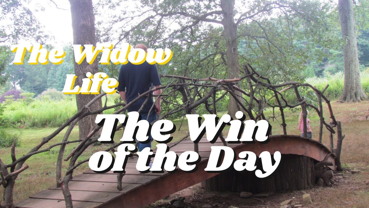 The Widow Life- The Win of the Day- Celebrating the Good Things When ...
