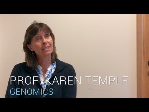 Research at the IDS: Professor Karen Temple - Genomics - YouTube