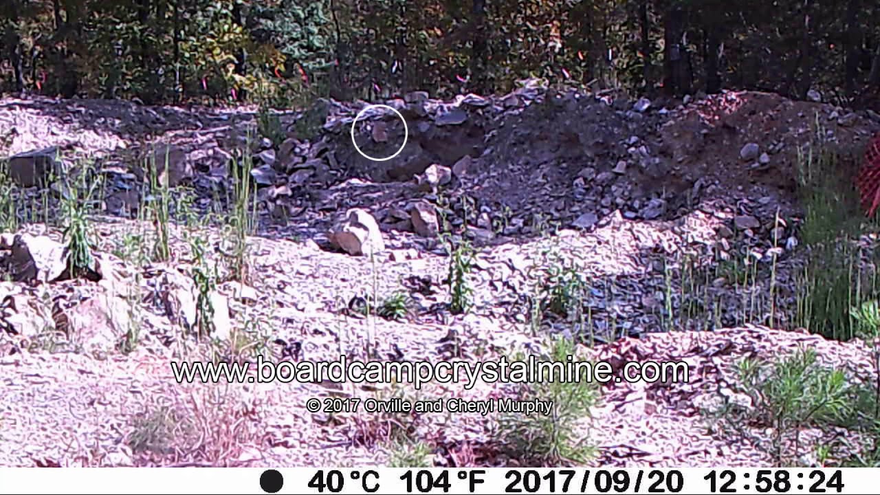 VIDEO of levitating rock at Board Camp Crystal Mine! - YouTube