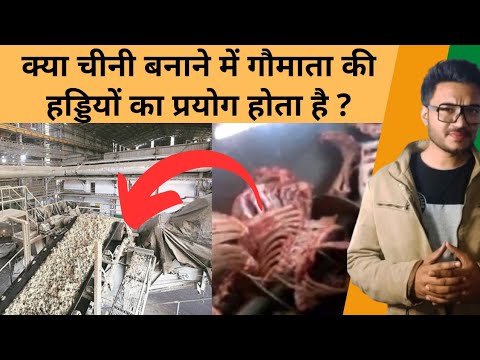 Is sugar refined by animal bone char | चीनी कैसे बनती है | How sugar is made | Aditya Prakash Sharma