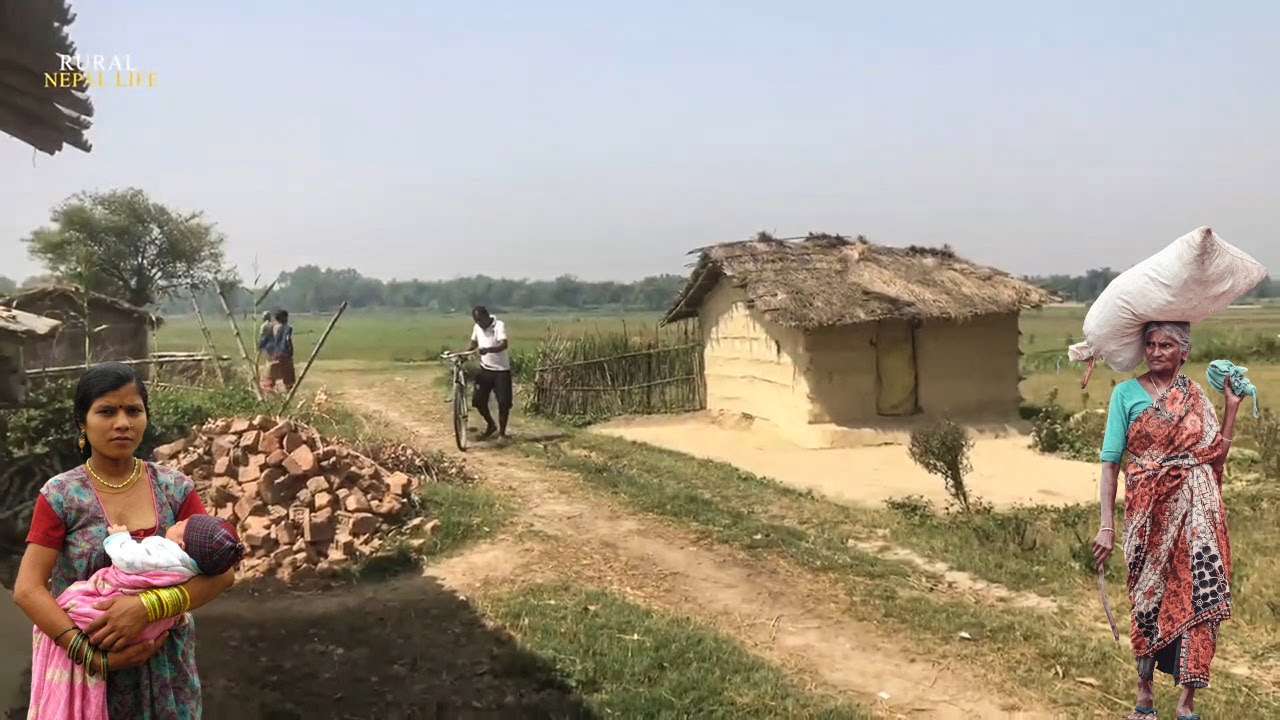 The real rural life of countryside Nepal || village activities of tarai ...