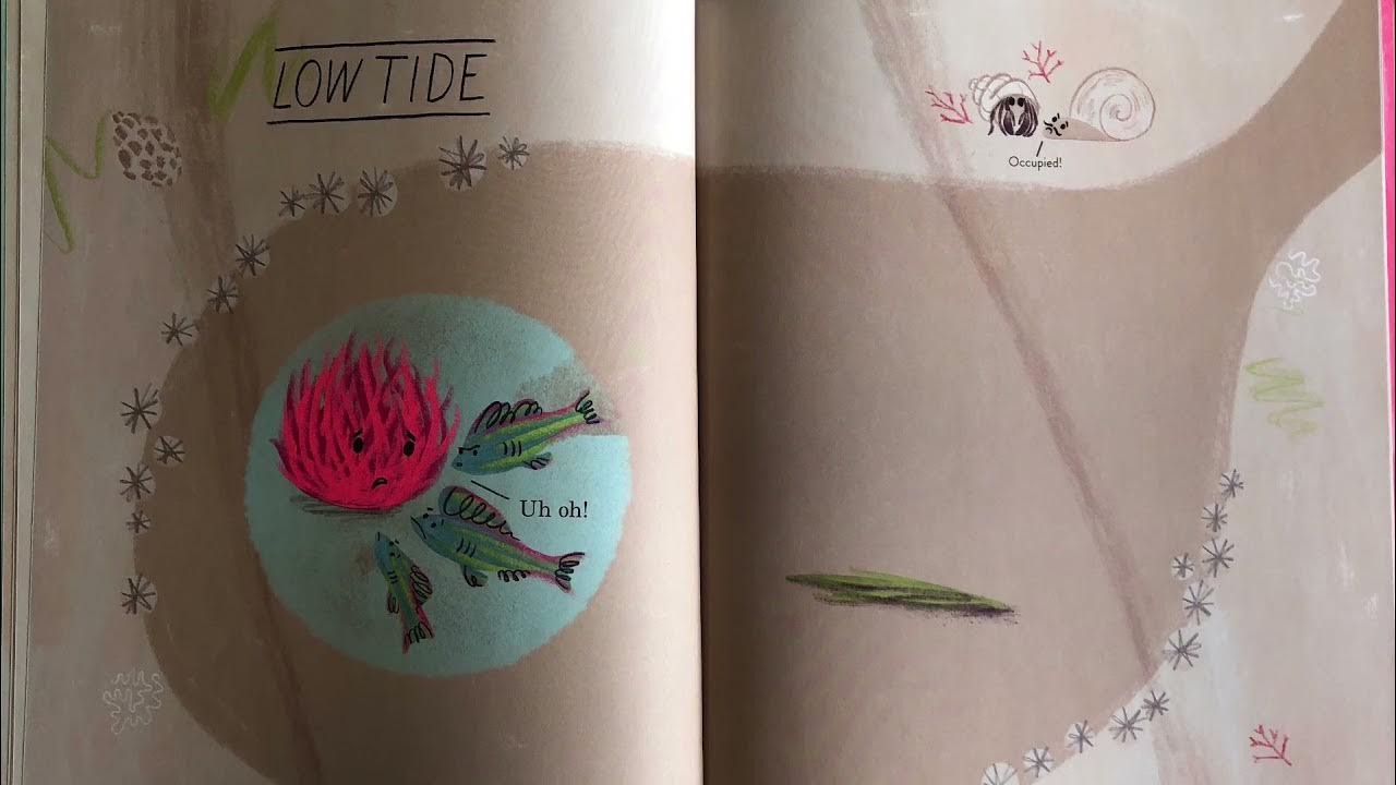 Anemone is not the Enemy by Anna McGregor - YouTube