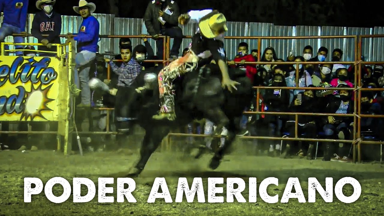 ¡LLEGARON LOS TOROS AMERICANOS DE RANCHO MONTE LOBO! - YouTube