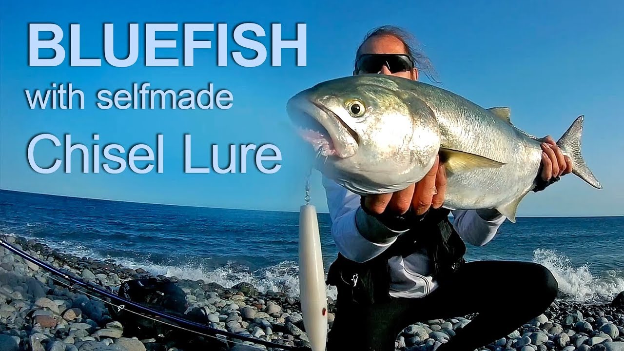 Bluefish on selfmade Chisel - GT ice cream plug - Ranger Lure - Gran ...
