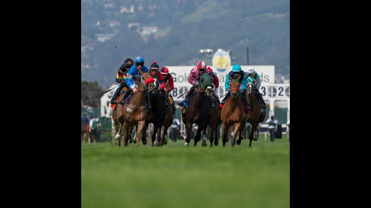 Golden Gate Fields Resumen - 11 de Enero 2020 - YouTube