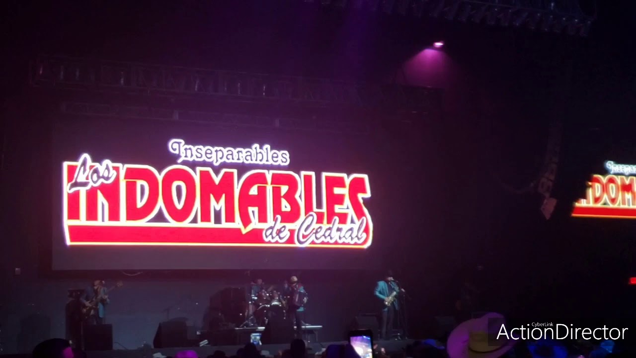 Los Indomables de Cedral en Coliseo Austin TX - YouTube