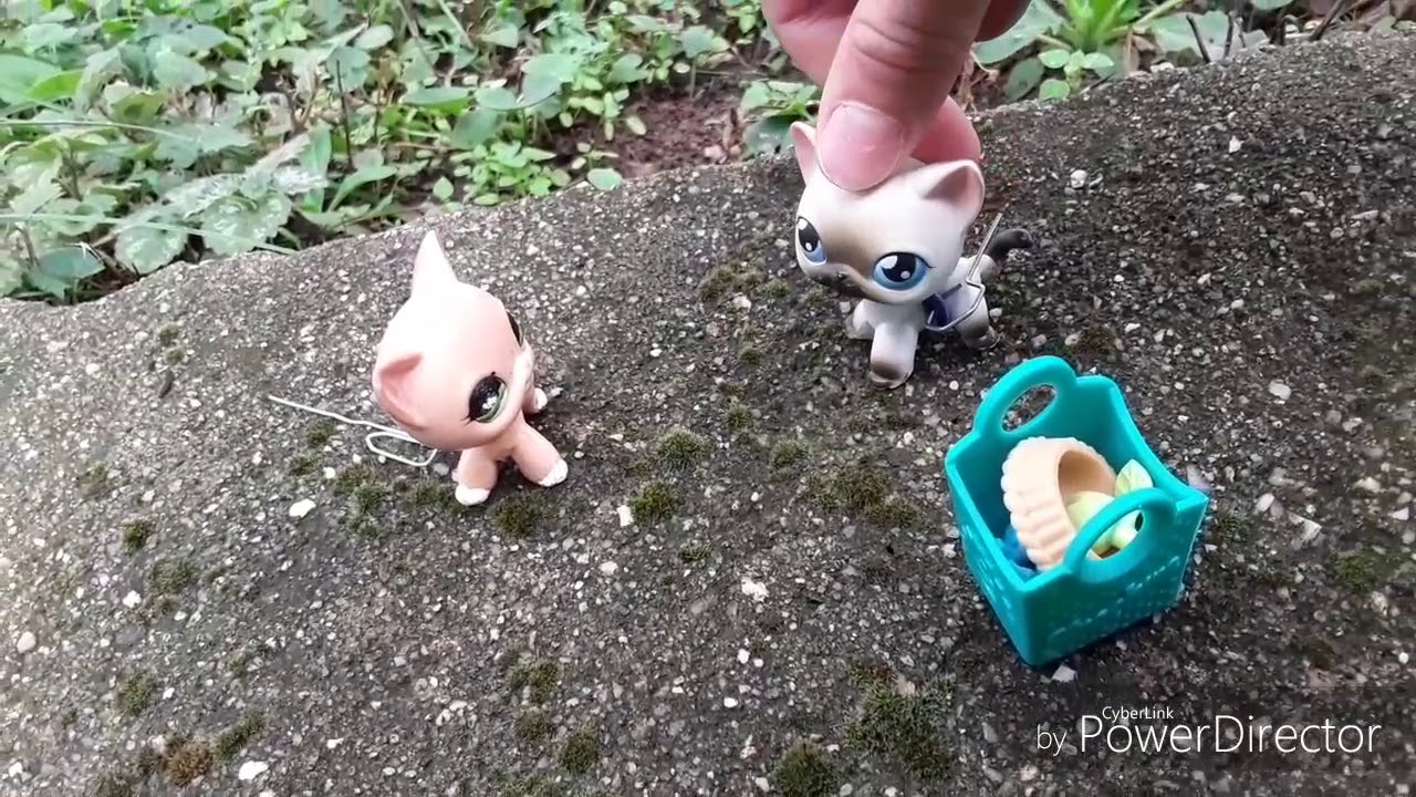 LPS Hunger Games 1/3 - YouTube