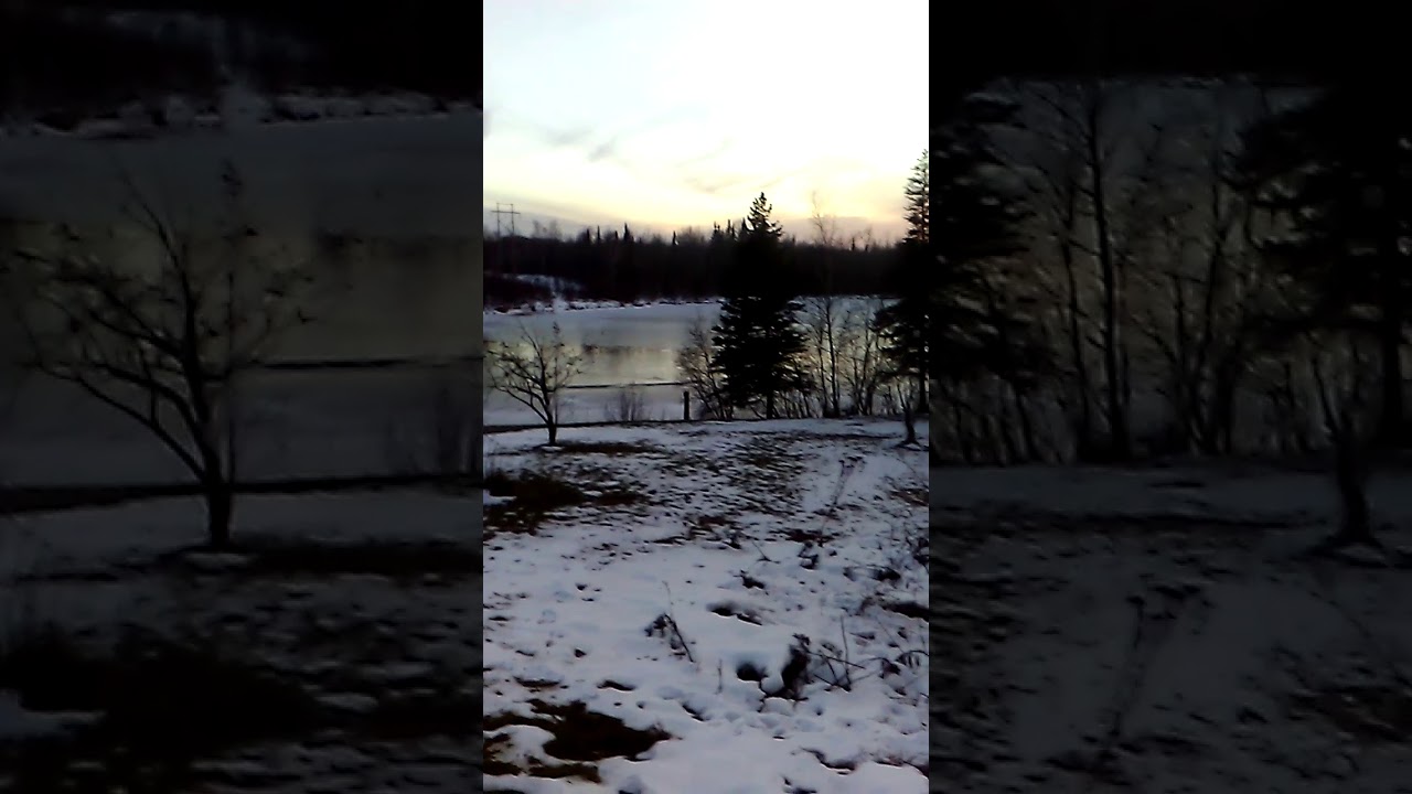 Bigfoot throwing rocks on to lake Mn - YouTube