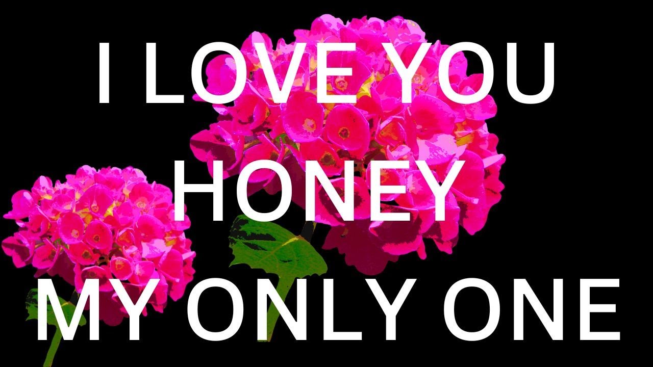 I LOVE YOU HONEY MY ONLY ONE - YouTube