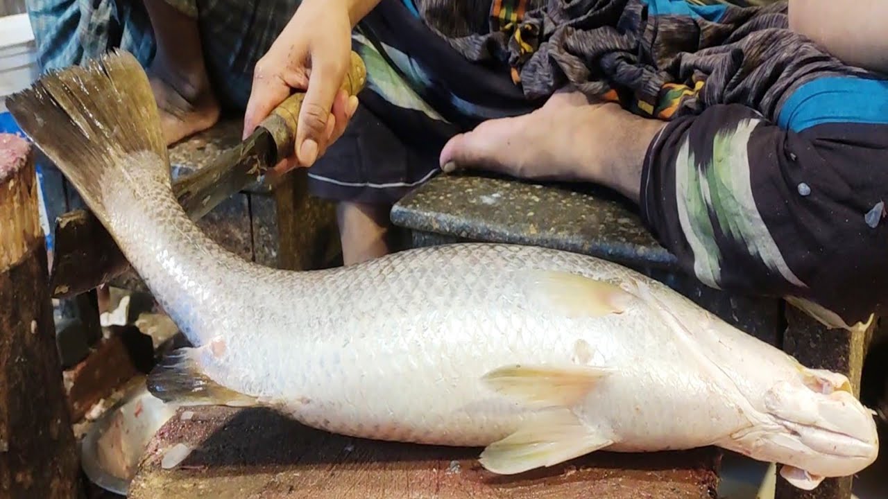 Incredible Big Bhetki Fish Cutting Skills In Fish Market | Fish Cutting ...