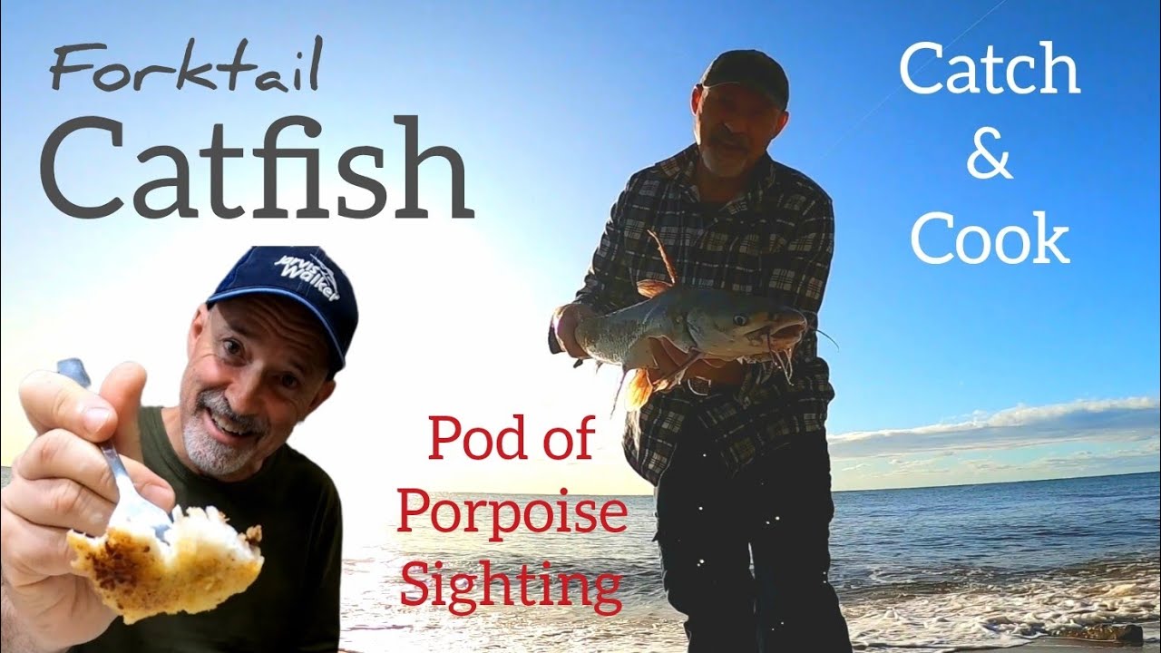 Silver Cobbler/ Catfish catch n cook. ep64 - YouTube