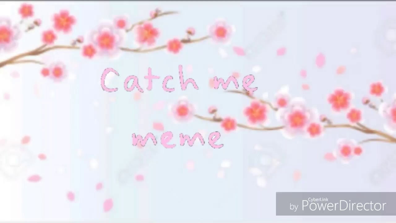 Catch me meme - YouTube