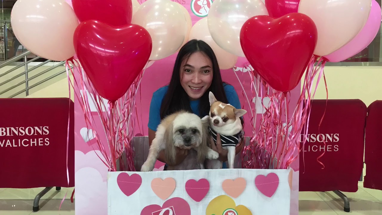 February 16, 2019 - YouTube