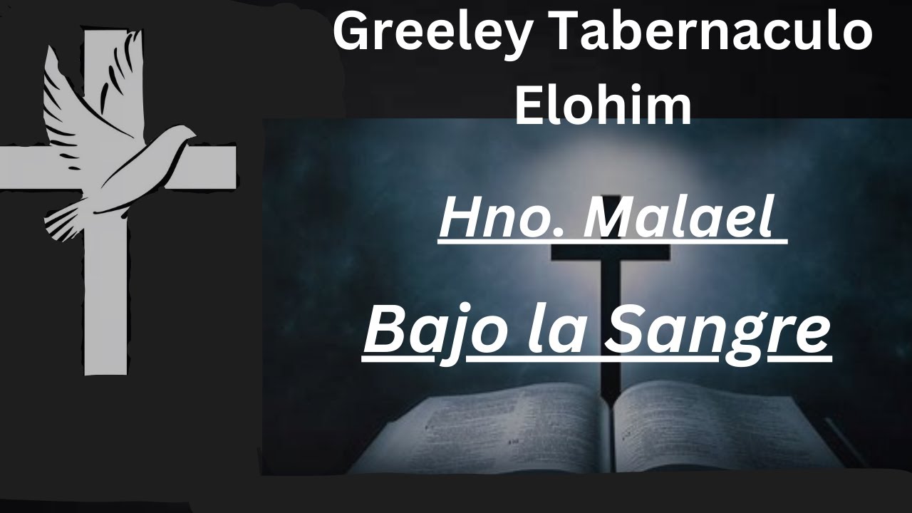 Hno. Malael - Bajo la Sangre - 6/14/2024 - YouTube
