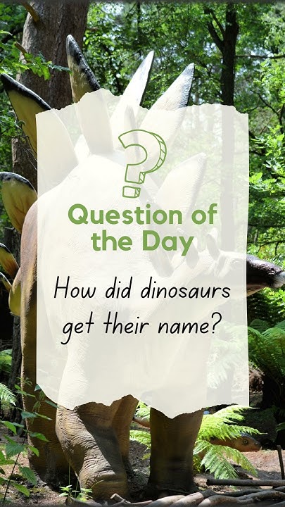 Dinosaur Questions of the Day - YouTube