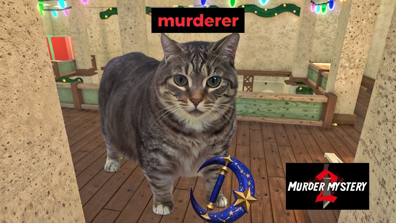 ‼️🤣 MM2 TEAM CAT2025 .CAT #roblox #meme #cat #murdermystery2 #bananacat ...