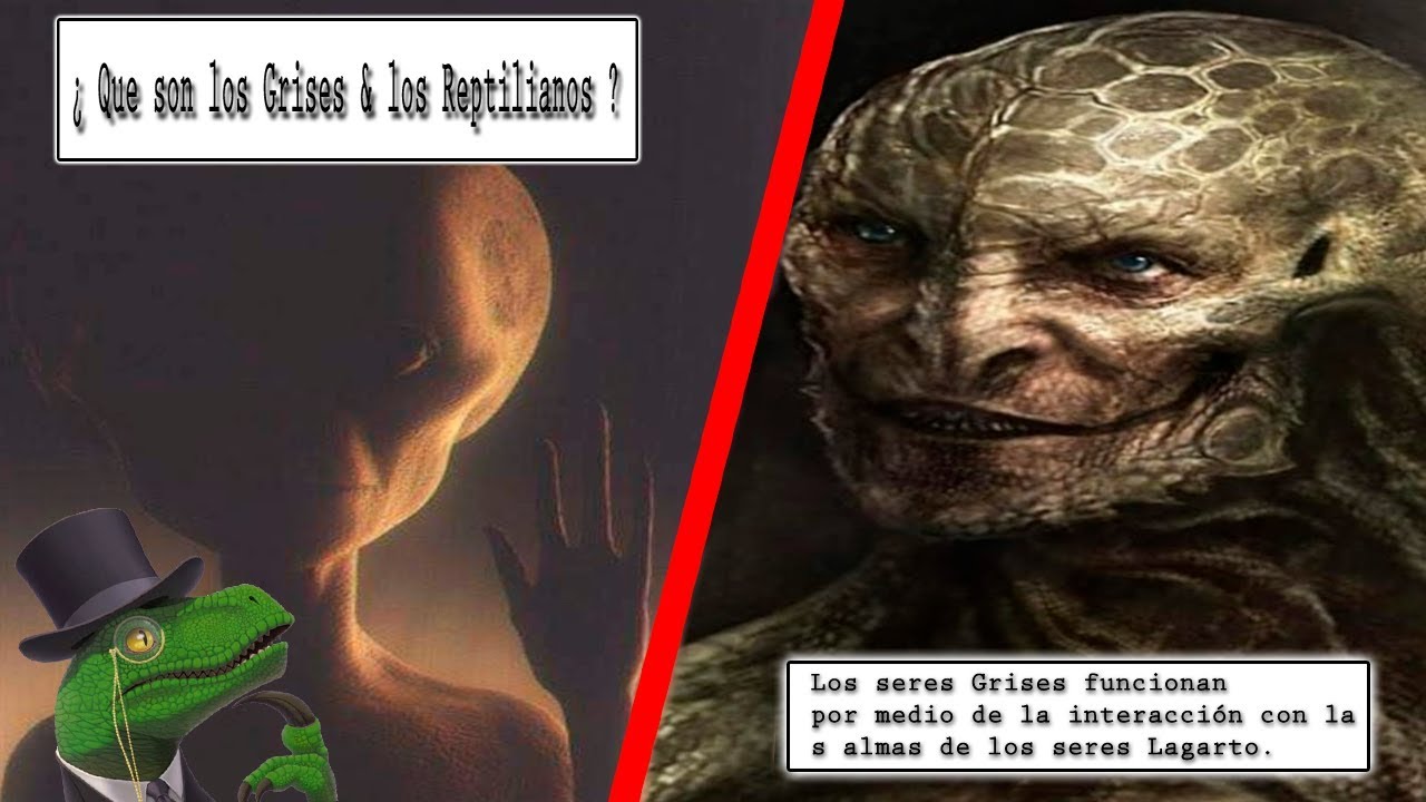 Que son los seres Grises y los seres Reptilianos? - YouTube