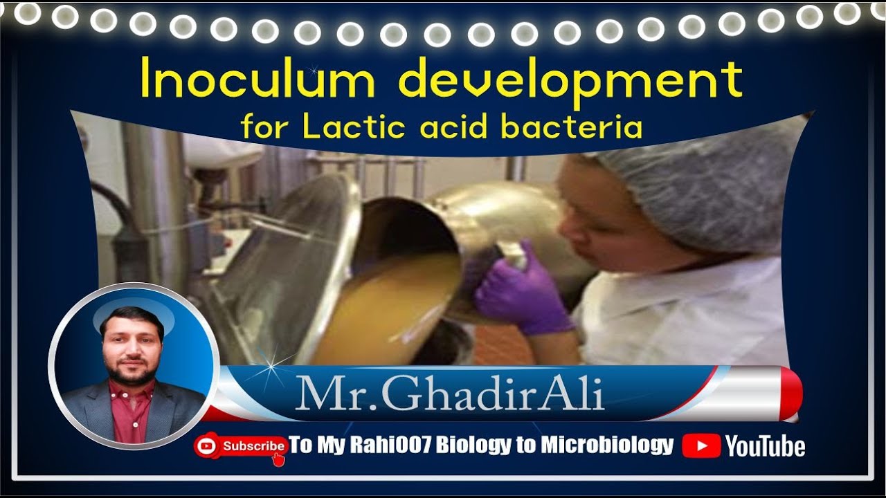Inoculum Development for Lactic acid bacteria - YouTube