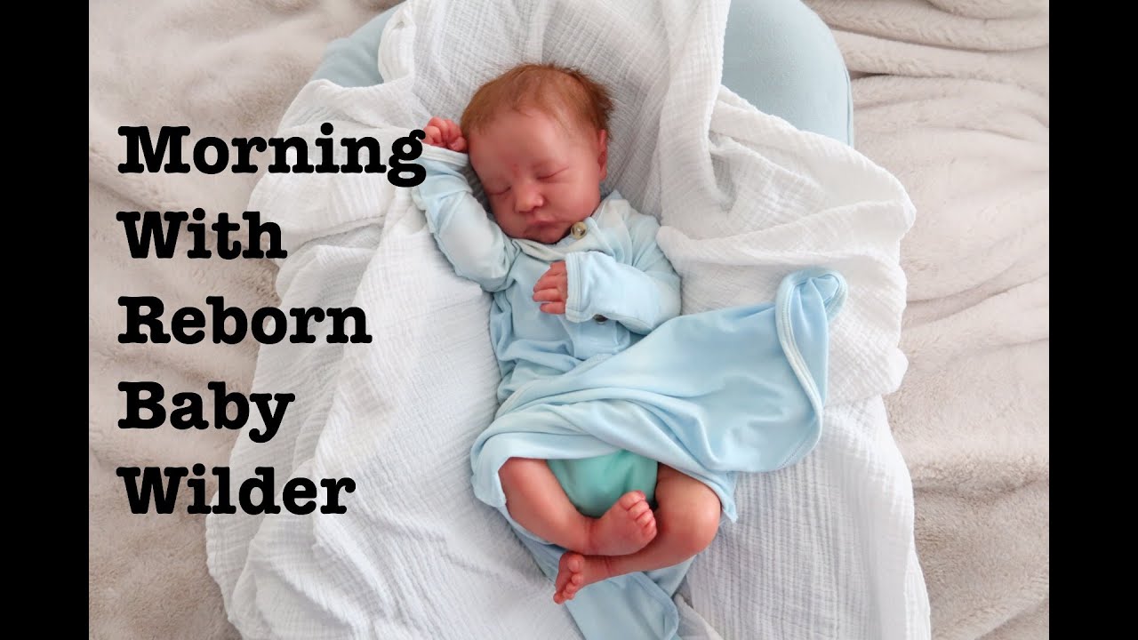 Reborn Morning Routine And First Outing With Newborn Wilder | Reborn ...